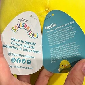 Squishmallows | Toys | Squishmallow Nellie The Parakeet 6 Stuffed Plush ...